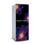 Vision Refrigerator Price in Bangladesh 2026 -Fridge, Freeze